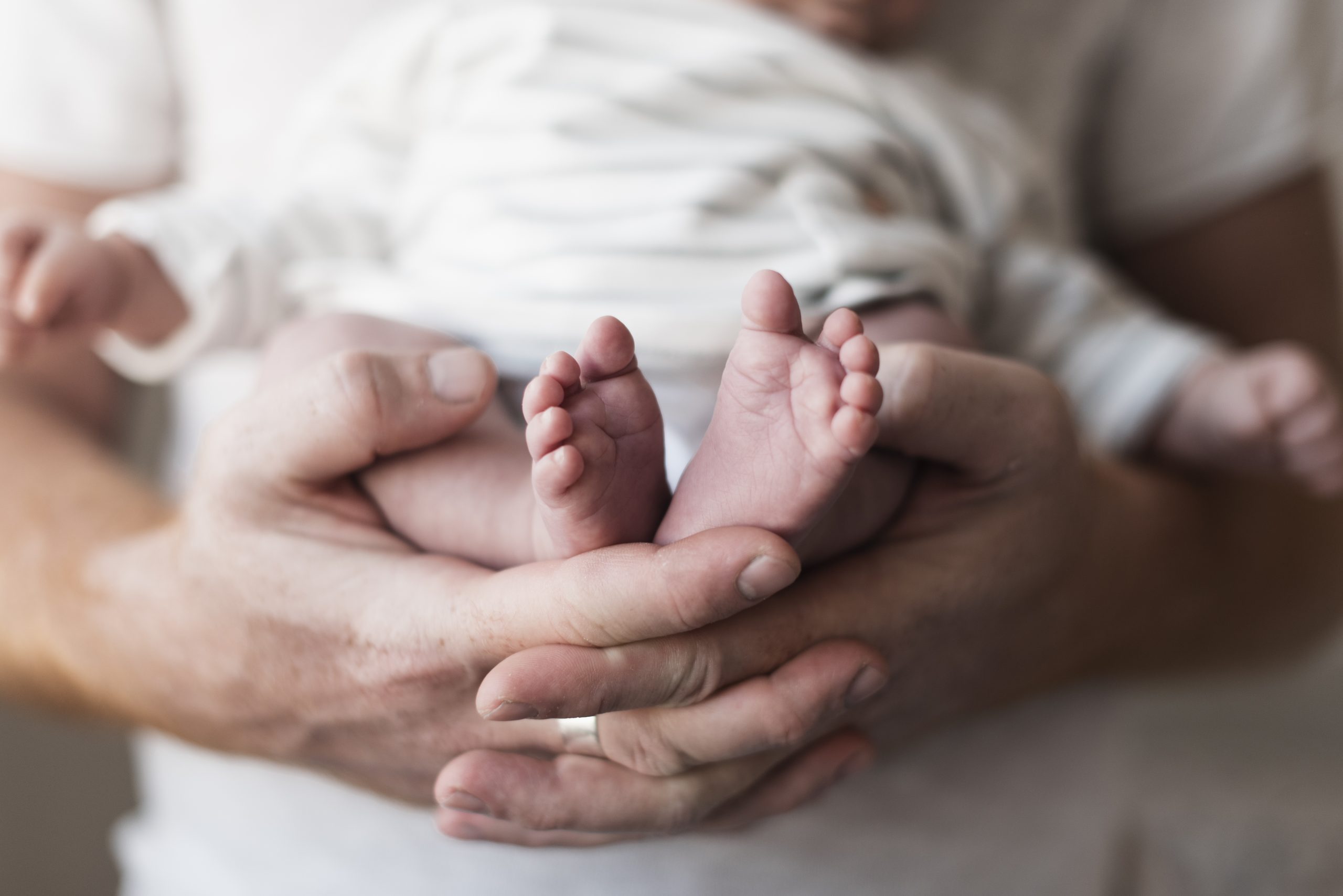 Legal Paternity - Red Canaria Laboratorios